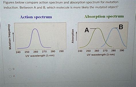 Solved Figures Below Compare Action Spectrum And Absorption Spectrum For Mutation Induction