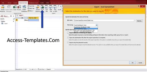 export access data to excel template williamson