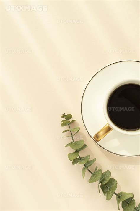 그림자와 커피 감성 사진 Borina220701 Borina 사진 카페 잔 아메리카노 카피공간 마시다 검다 백