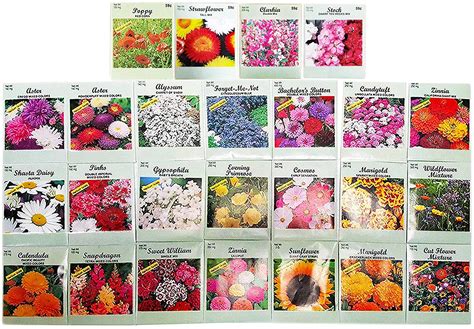 Best Seeds For Flower Garden At Zoe Oatley Blog