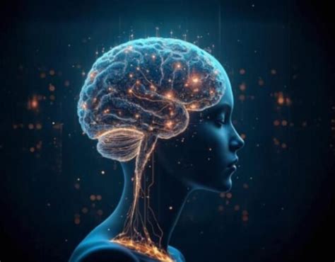 Freuds Stages Of Psychosexual Development