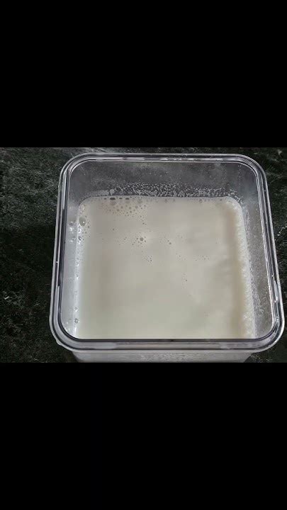 집에서 쉽게 연유 만드는 법 Youtube