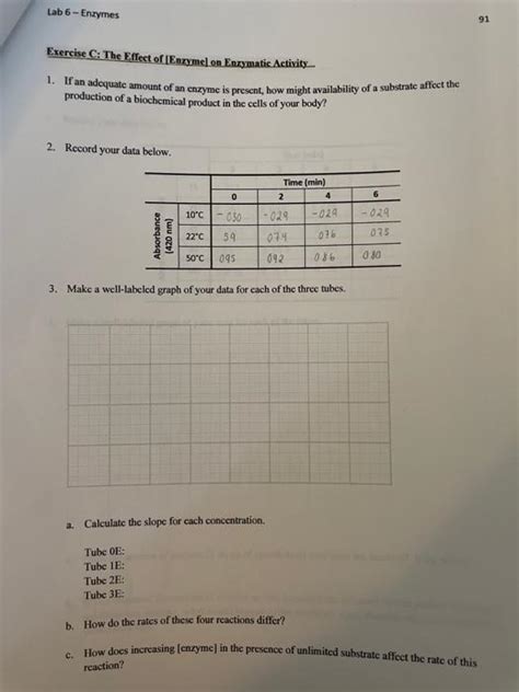 Solved Lab 6 Enzymes 91 Exercise C The Effect Of