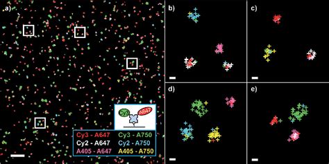 Figure 3 From Multicolor Super Resolution Fluorescence Imaging Via Multi Parameter Fluorophore