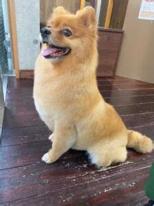 ぐりちゃん