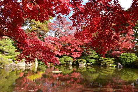 クリスマスカラーの日本庭園 花蓮s Room