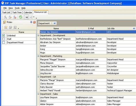Step 2 Organizing Software Development Company Staff