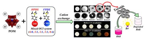 Scheme 1 Outline Of The Synthesis And Applications Of Hybrids 1 5 Download Scientific Diagram