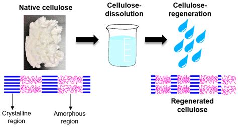 The Dissolution Regeneration Of Native Cellulose Download Scientific