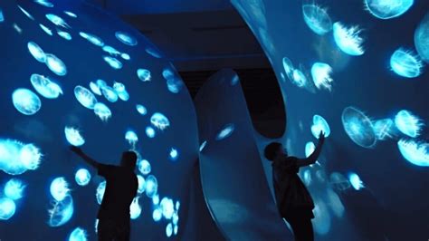 What Is A Lidar Interactive Projection System