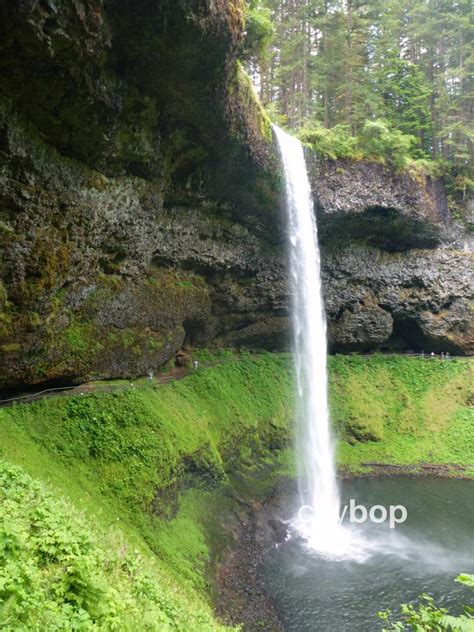 5 Best Things To Do At Silver Falls State Park