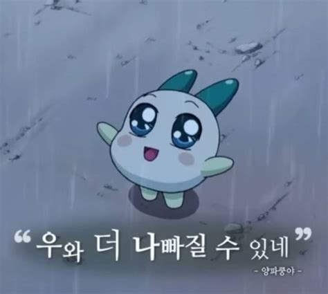 너네 이 양파쿵야 짤 진실 알아 인스티즈 Instiz 일상 카테고리