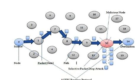 Malicious Packet Dropping In Wireless Ad Hoc Network