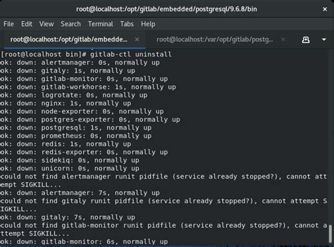 在fedora28上安装gitlab的添坑之路gitlab Invalidhash Csdn博客