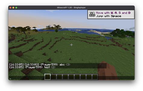 1201 Fabric Tweakeroo Shouldnt Prepend Timestamps Onto Messages If `refresh` Is True