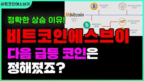 비트코인에스브이 정확한 상승 이유 다음 급등 코인은정해졌죠 비트코인에스브이시세 비트코인에스브이호재 비트코인에스브이속보