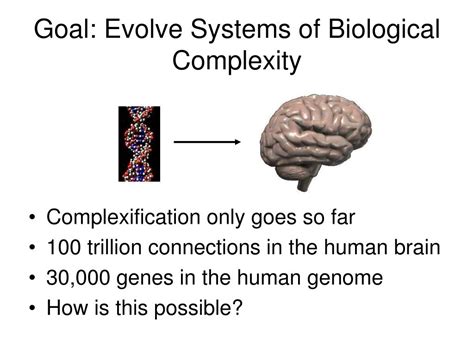 Ppt Cap6938 Neuroevolution And Artificial Embryogeny Artificial Embryogeny Powerpoint