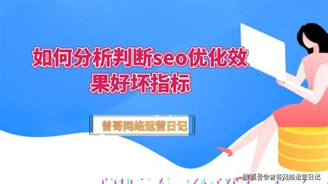 如何分析判断seo优化效果好坏指标 Ip