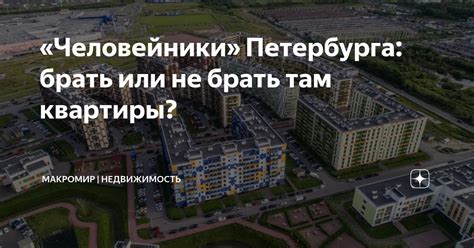 «Человейники Петербурга брать или не брать там квартиры Макромир Инвест Дзен