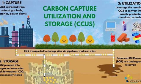 Incentives Key To Seed And Promote Ccus Sector In India