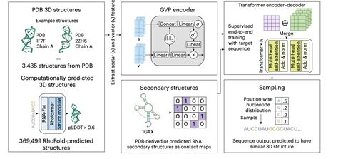 Rna Structure Prediction And Design With Large Language Model Based Deep Learning Methods Cuhk Cse