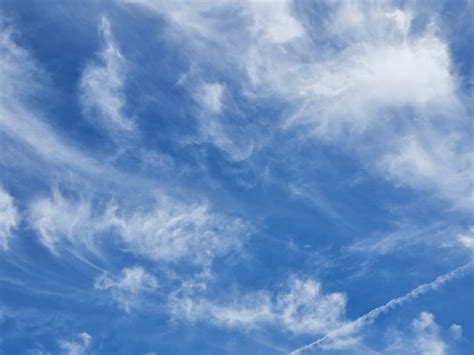 16回目の月命日 メジロ