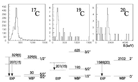Upper Gamma Ray Spectra Lower Experimental And Shell Model Level