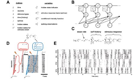Hidden Markov Model Used For Estimating Spiking Stimulus Responses In Download Scientific