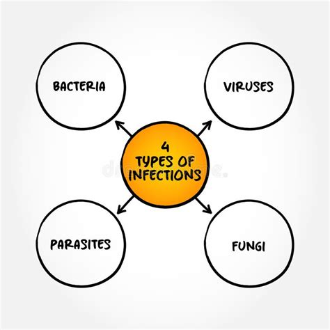 4 Types Of Infections Mind Map Text Concept For Presentations And