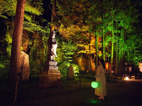 宮城NAKED 松島国宝 瑞巌寺 秋の夜間参拝宮城県瑞巌寺にて開催中 NAKED INCが投稿したフォトブック Lemon8