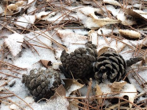 代数结构 笔记 Graphviz绘制思源笔记 Graphviz Csdn博客