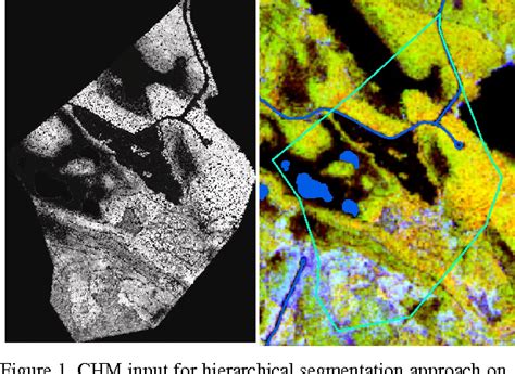 Figure 1 From Automatic Delineation Of Forest Stands From Lidar Data Semantic Scholar