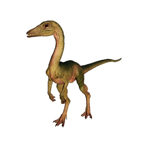 Compsognathus Dinoer Dk