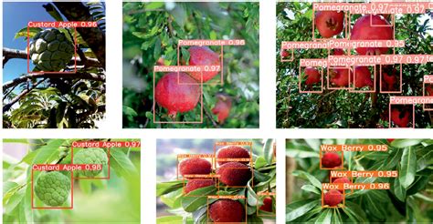 Figure 4 From A Fruit Detection Method For Vague Environment High