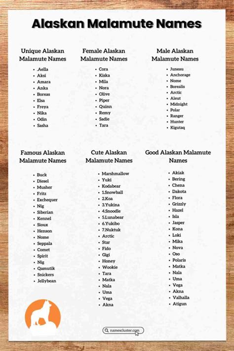 140 Best Cute And Famous Alaskan Malamute Names