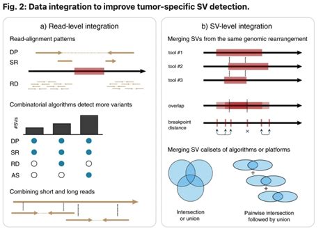 Review Paper On Structural Variant Detection In Cancer Genomes Ubc