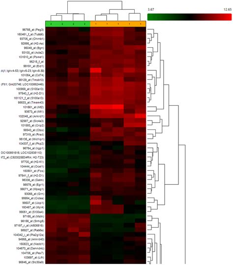 Part Of A Typical Hierarchical Clustering And Heatmap Between Samples
