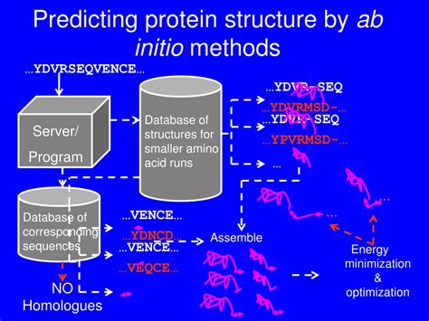 Ppt Predicting Protein Properties And Structure Powerpoint