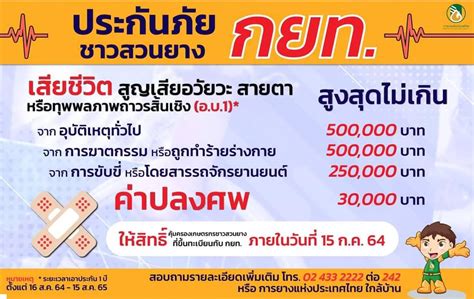 เปิดวิธีเช็กสิทธิ์ “ประกันภัยชาวสวนยาง” เสียชีวิต จ่าย รายละ 5 แสนบาท