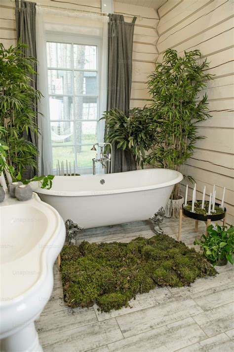 하얀 세면대 옆에 앉아 있는 하얀 욕조 사진 Unsplash의 식물 이미지