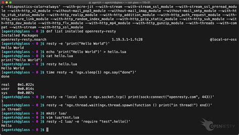 Resty 命令行工具演示 Openresty 官方博客
