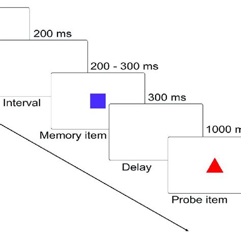 Schematic Diagram Not To Scale Of The Delayed Matching Task In Download Scientific Diagram