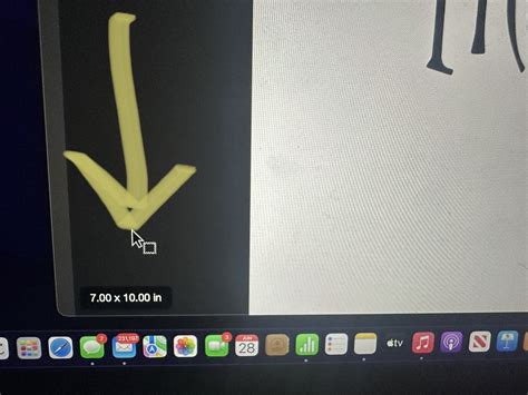 Sizing Help Adobe Product Community 13900901
