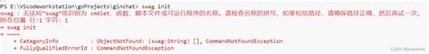 swag 无法将“swag”项识别为 cmdlet、函数、脚本文件或可运行程序的名称。 swag 无法将“swag”项识别为