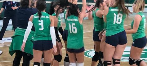 Νίκες για όλες τις «πράσινες ακαδημίες ΠΑΟ ΠΑΝΤΟΥ Νέα And Ειδήσεις για τον Παναθηναϊκό