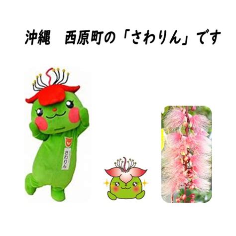 第5章 マスコットキャラクターさわりん利用許可ゲット スマートロジデザイン株式会社