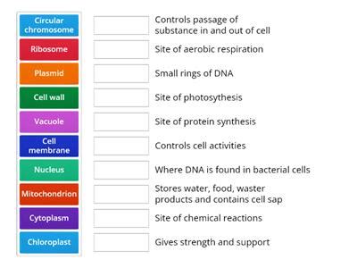 Cell Structures And Functions Teaching Resources