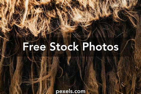 Tangled Animation Photos Download The Best Free Tangled Animation