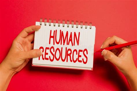 Text Caption Presenting Human Resources Internet Concept The Showing Who Make Up The Workforce