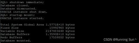 Oracle闪回详解（闪回查询，闪回数据，回退数据，闪回表，闪回数据库，闪回快照，闪回主备库（恢复关系），闪回归档，注意事项，有关闪回常用查询